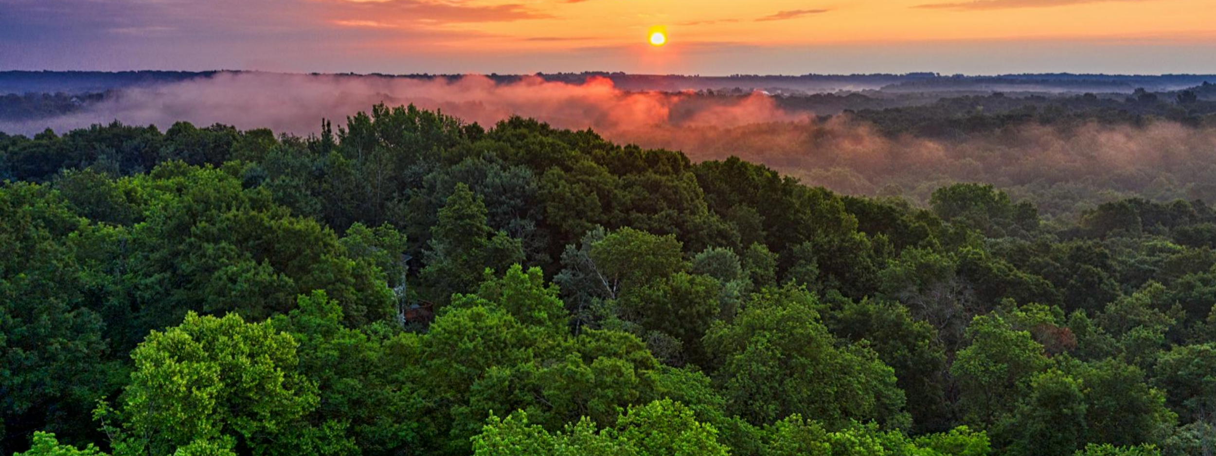 Minnesota Sentencing Guidelines Commission / Minnesota Sentencing ...