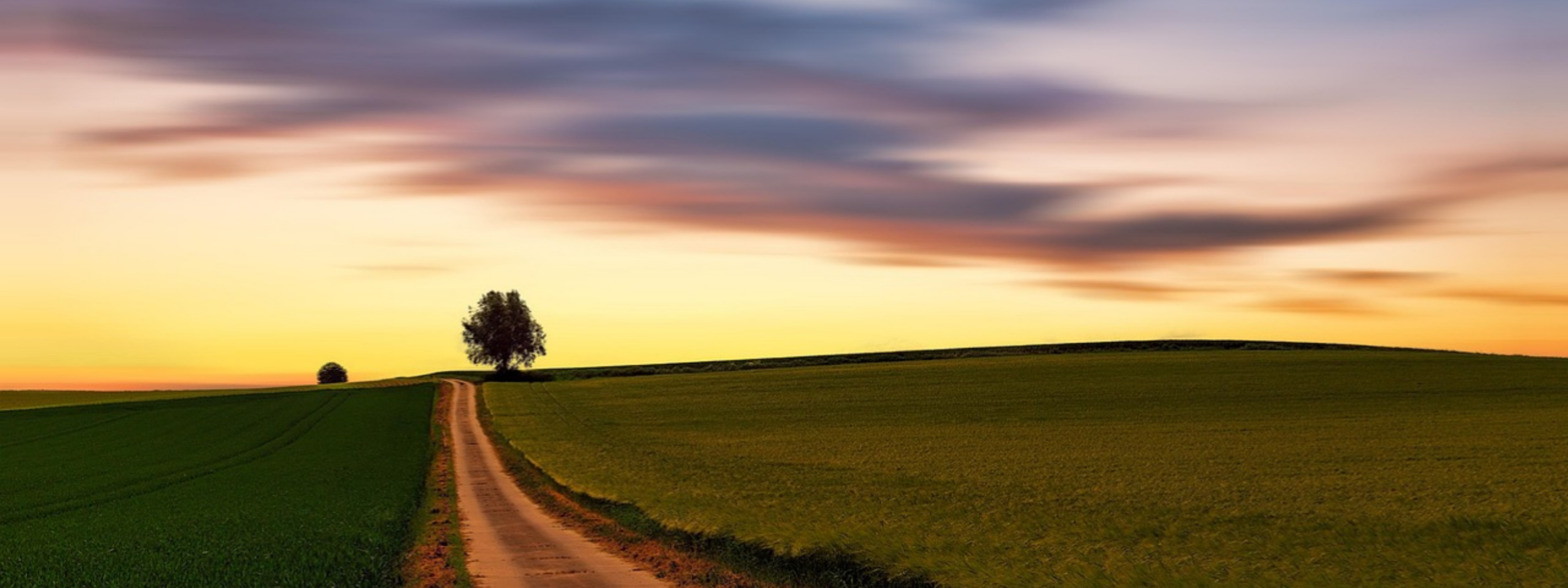 Minnesota Sentencing Guidelines Commission / Minnesota Sentencing ...