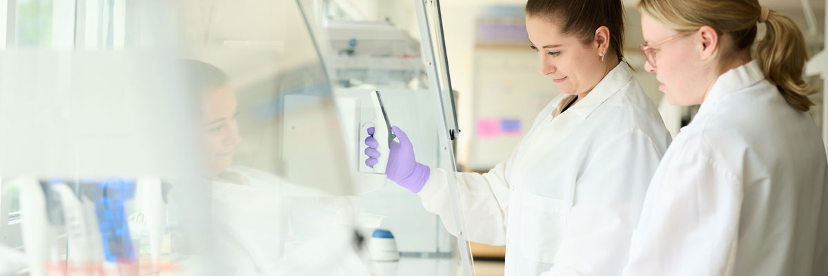 Business Attraction Marketing / Tourism Industry Minnesota